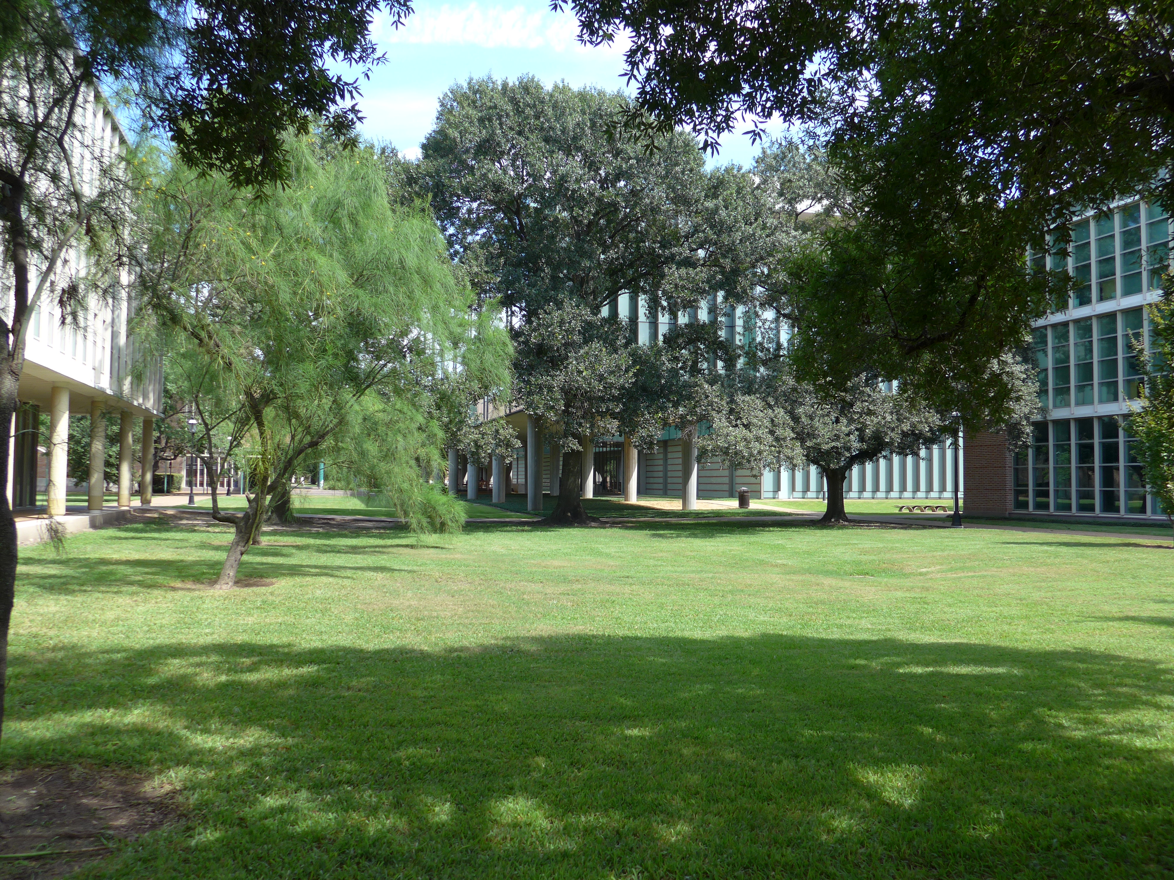 A Visit to Campus, 1962 | Rice History Corner