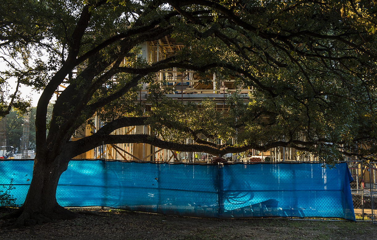 Looking Out From Hamman Hall, 1983 and 2016 | Rice History Corner