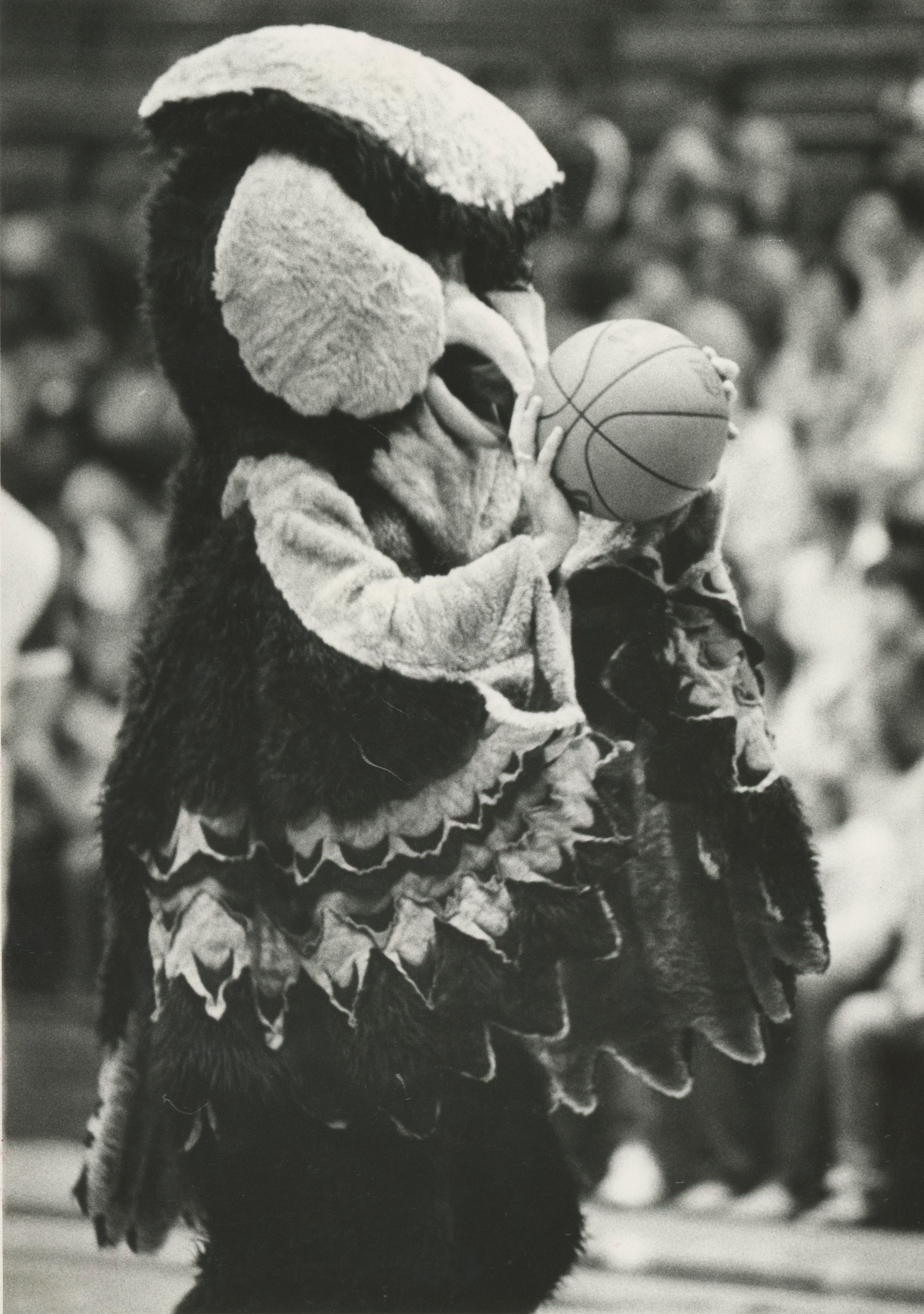 Friday Follies: Possible Solution to Basketball Transfer Epidemic ...